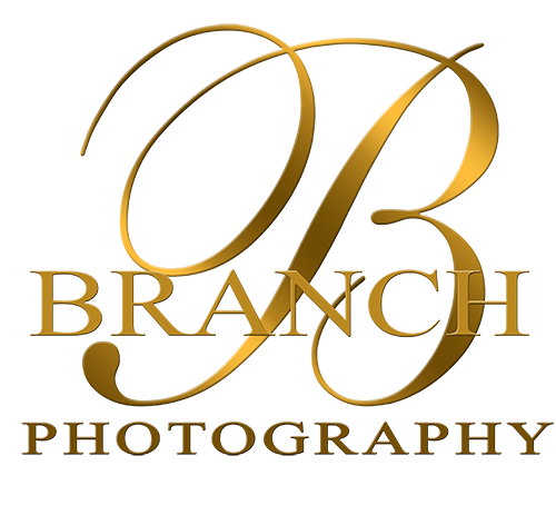 Basic Headshot Package