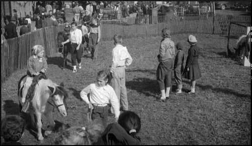Jordan Fall Festival