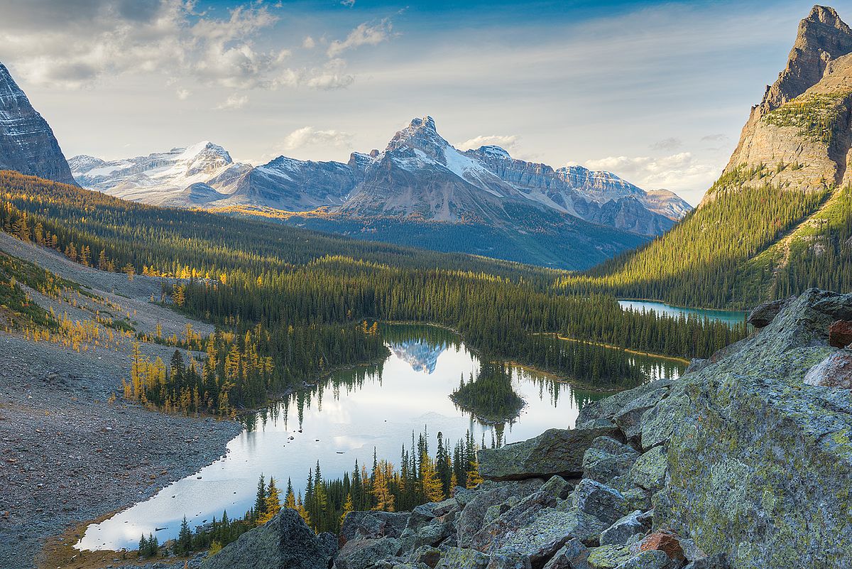Lake O'Hara & the Opabin Plateau, Yoho National Park, British Columbia ...