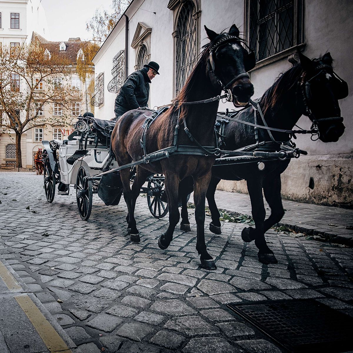 Sean Weaver Photography | Three Vienna Museums