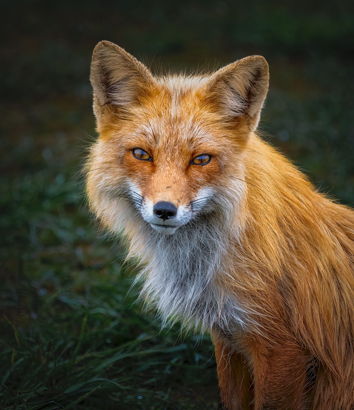 Other Wildlife | Candace Dyar Photography