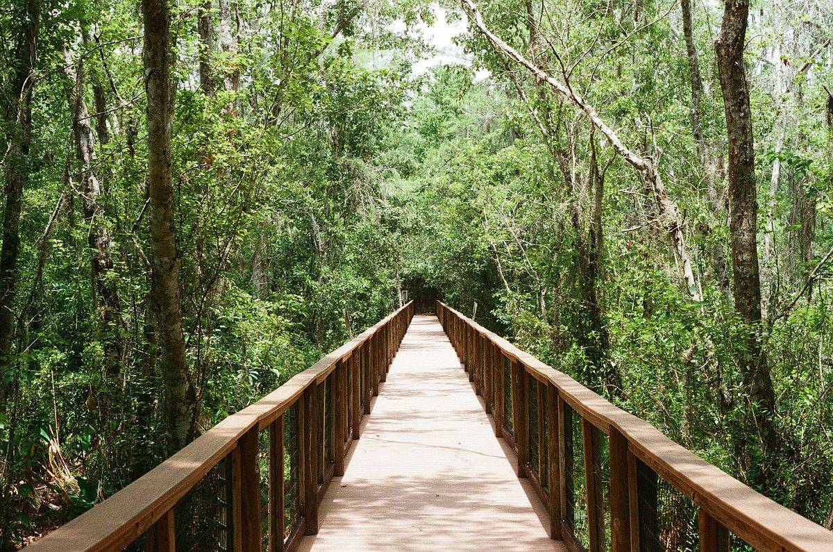 This is Florida! Boardwalk