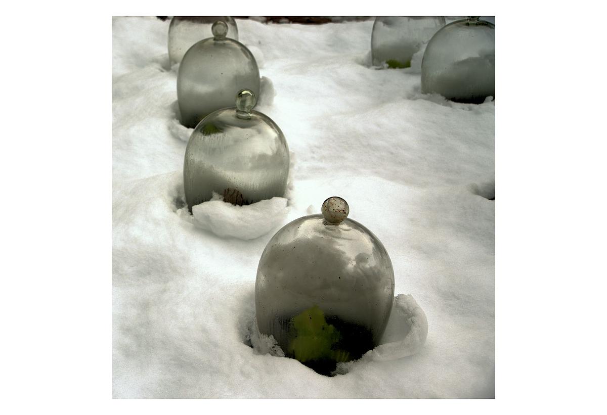 Bell Jars