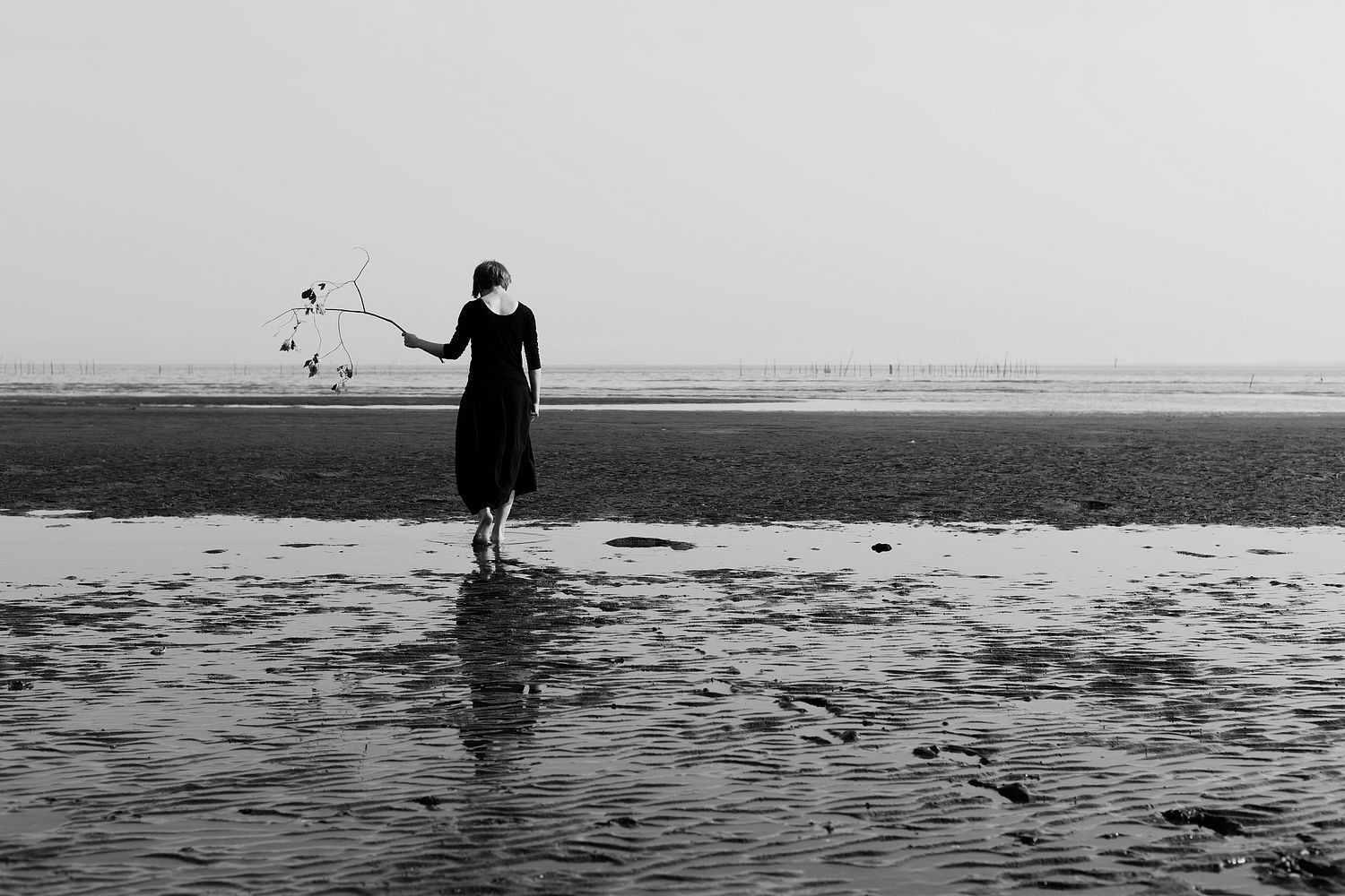 The photography of André van Rensburg